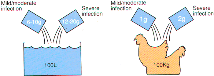 Paracillin® SP - MSD Animal Health Egypt